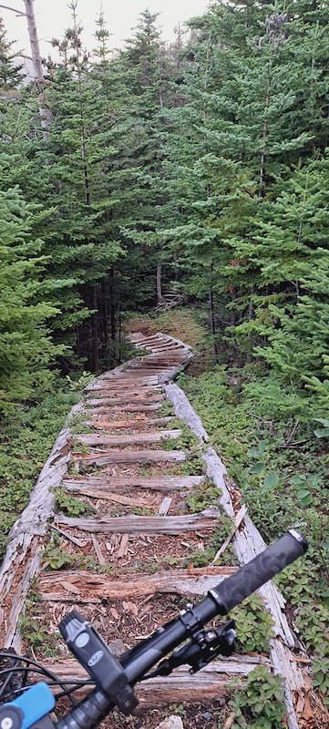 East Coast Trail - Stiles Cove Path (Pouch Cove to Flatrock) Hiking ...