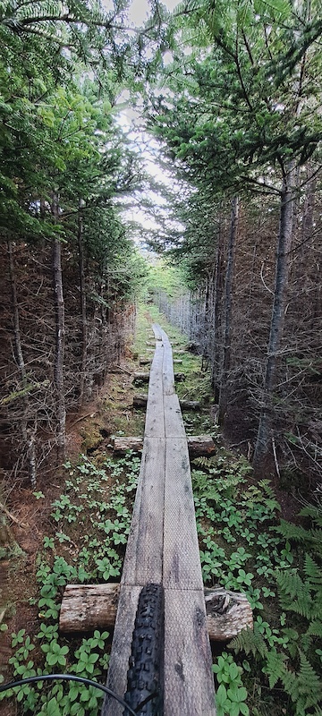 East Coast Trail - Stiles Cove Path (Pouch Cove to Flatrock) Hiking ...