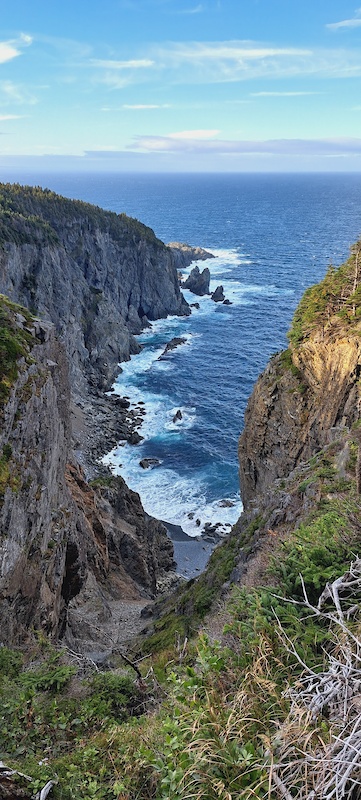 East Coast Trail - Stiles Cove Path (Pouch Cove to Flatrock) Hiking ...