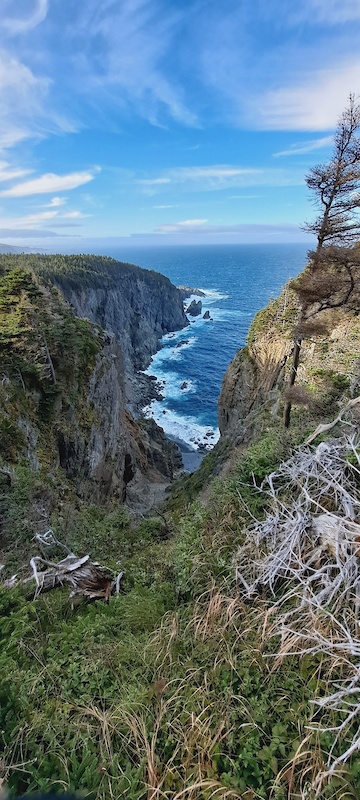 East Coast Trail - Stiles Cove Path (Pouch Cove to Flatrock) Hiking ...