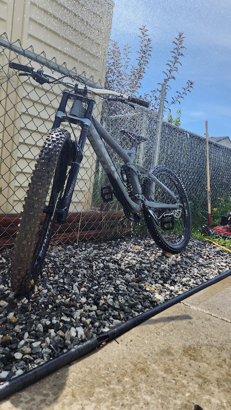 2019 Trek session For Sale