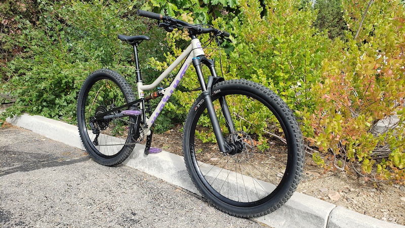 2023 Marino Steel 29er Full-Suspension MTB (Small/Custom) For Sale