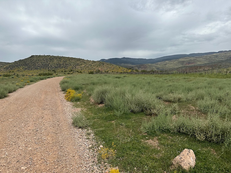 Cedar Pocket Multi Trail - Littlefield, AZ | Trailforks