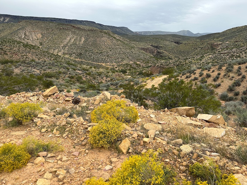 Cedar Pocket Multi Trail - Littlefield, AZ | Trailforks