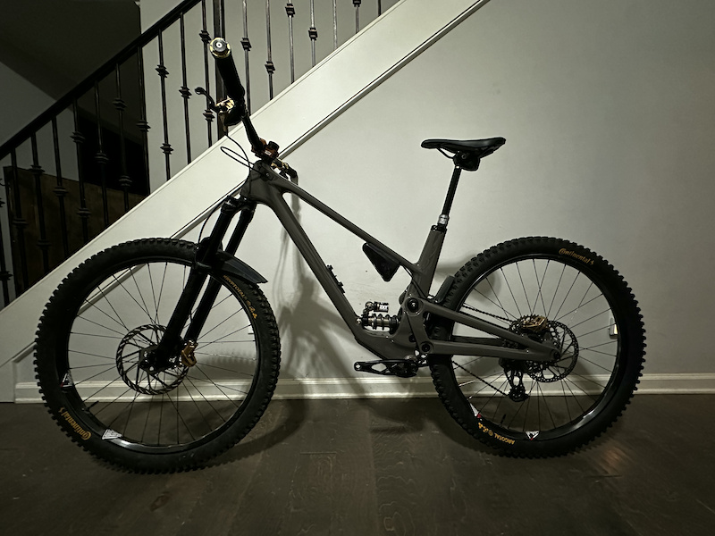 2021 Forbidden Druid Custom UPDATE For Sale