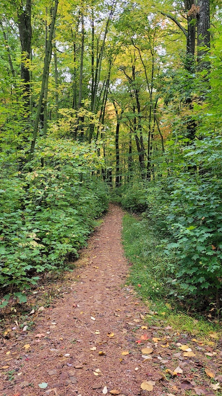 Gray Wolf Nature Trail Multi Trail - Marshfield, WI