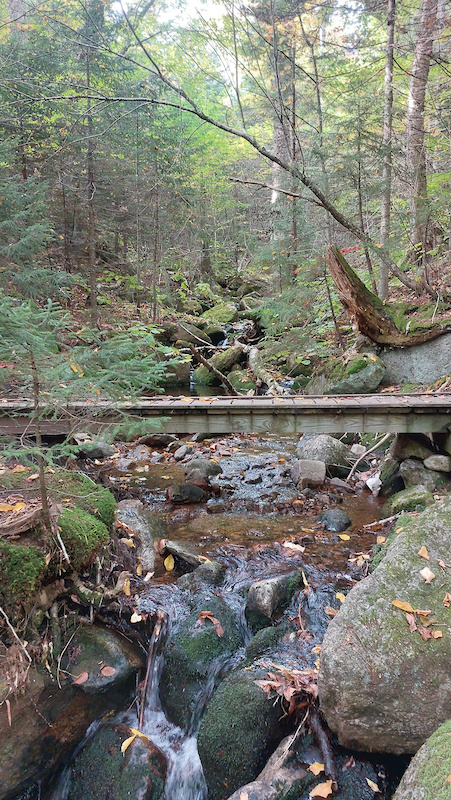 Lyon Mountain Trail Hiking Trail - Plattsburgh, New York