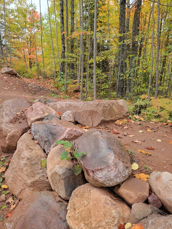 Skills Park Black Drop Run Mountain Biking Trail - Manitowish Waters