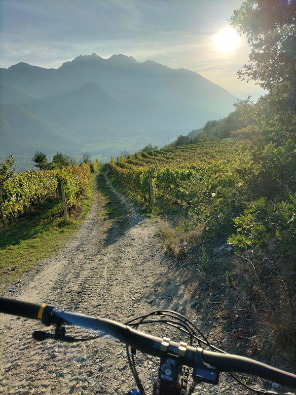 chicken trail Mountain Biking Trail - | Trailforks