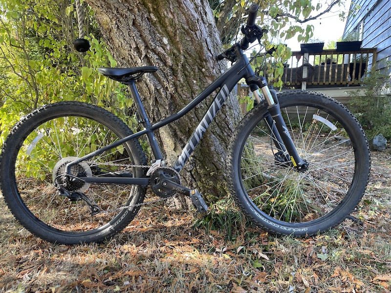 2020 Specialized Rockhopper For Sale