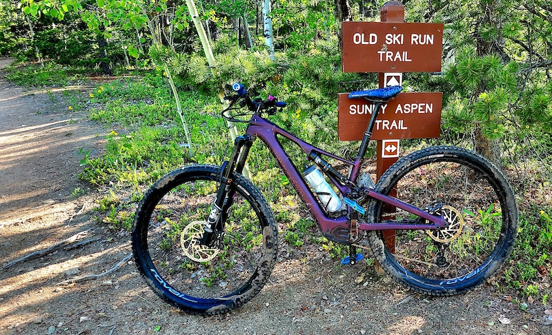 2021 Limited S2 Specialized Turbo Levo SL For Sale