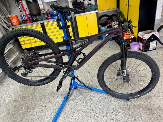 2019 Stumpjumper For Sale