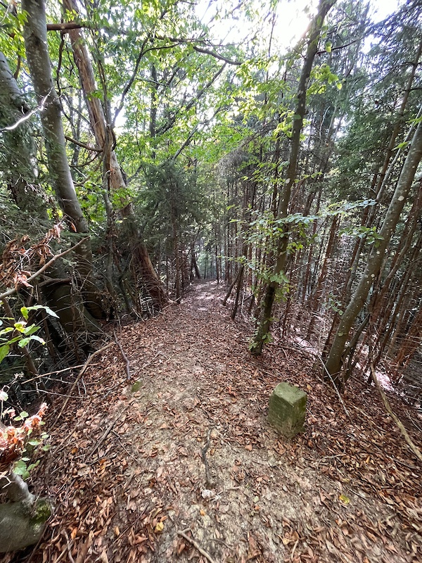 Höchsten West Upper Mountain Biking Trail