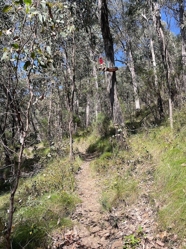 Mar-Mac Human Powered Trails, Marquette Mountain Biking Trails | Trailforks