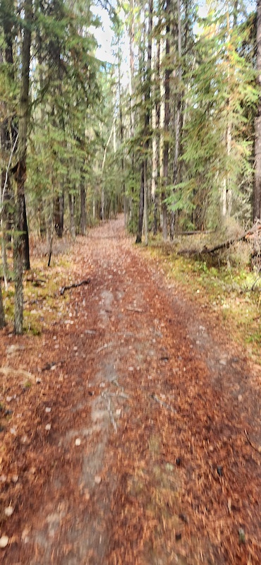 Burnt Car Bypass Multi Trail - Whitehorse, Yukon
