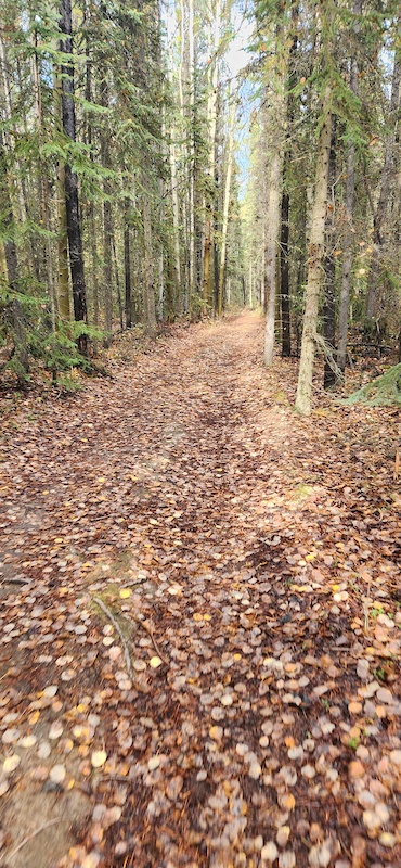 Burnt Car Bypass Multi Trail - Whitehorse, Yukon