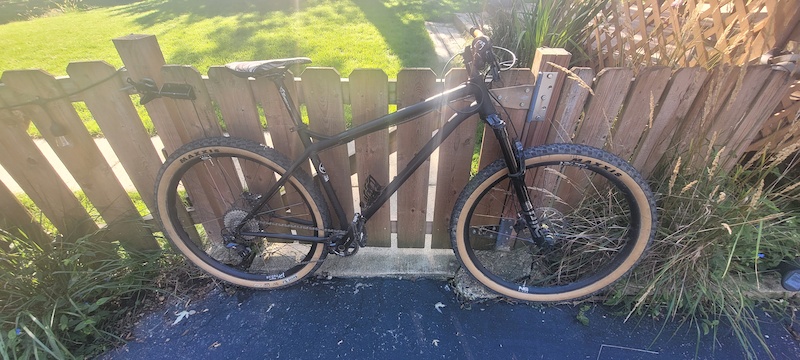 2020 NS Bikes Eccentric 29er Chromoly For Sale