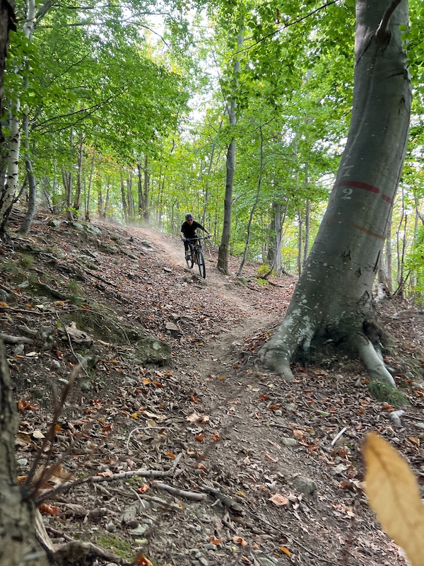 Black Mamba Mountain Biking Trail - Finale Ligure