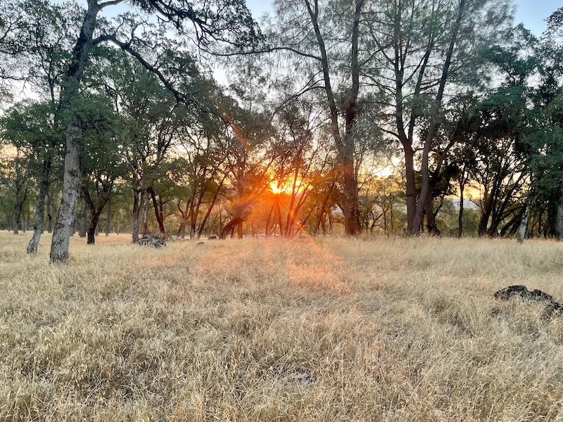 Robie Point Fuel Break Trail Mountain Biking Trail - Auburn