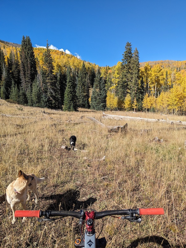 Baker Spring Hiking Trail - Beaver, Utah | Trailforks
