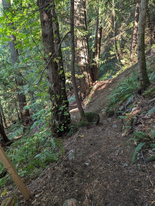 Crystal Falls Trail Hiking Trail - Lions Bay, BC