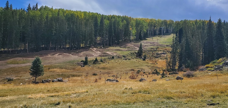 Dual Slalom Mountain Biking Trail - Greer, Arizona