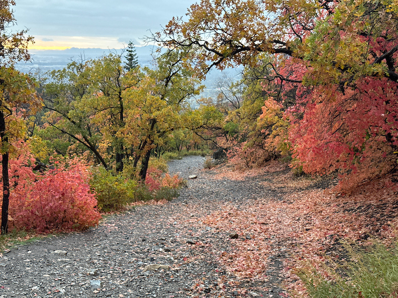 Neffs Canyon Access Multi Trail - Millcreek, Utah