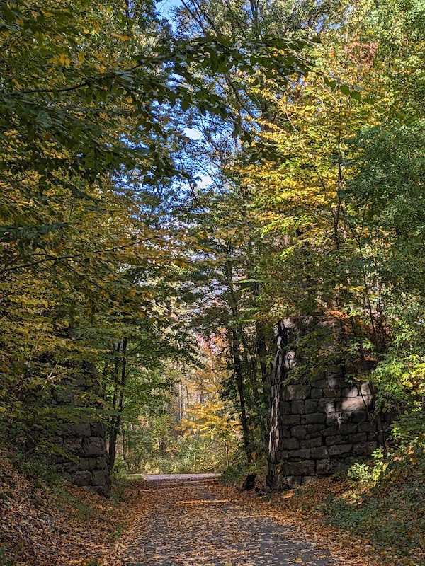 Hudson Marlborough Rail Trail at Cameron Coppin blog