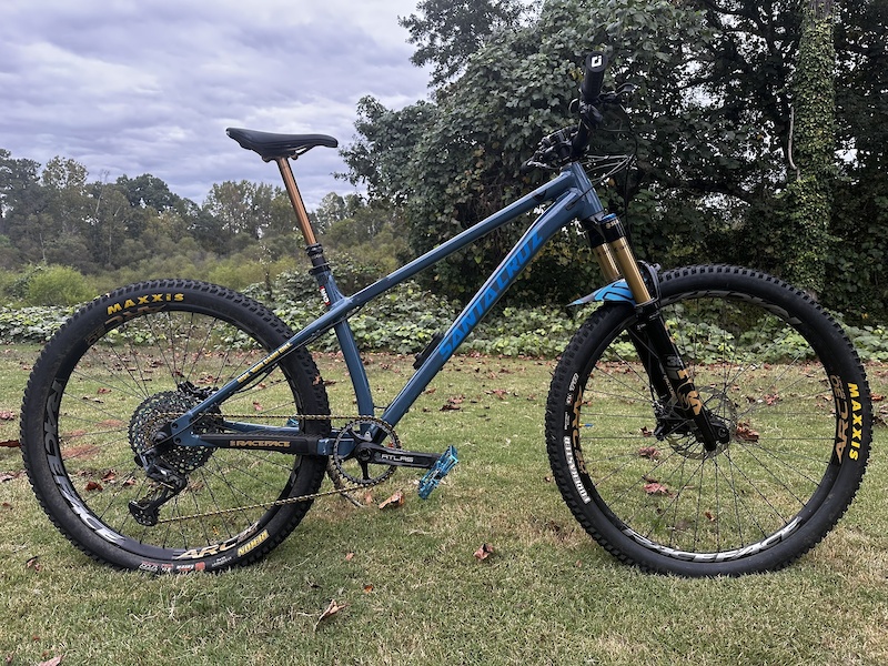 2022 Santa Cruz chameleon mullet For Sale