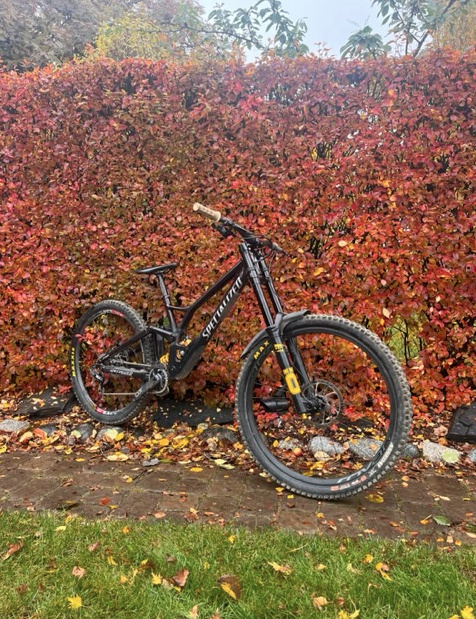 2022 Specialized Demo S4 For Sale
