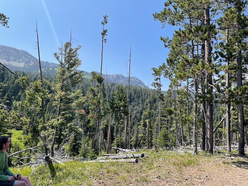 The Hoot 2025 - 20 Mile Course Mountain Biking Route | Trailforks