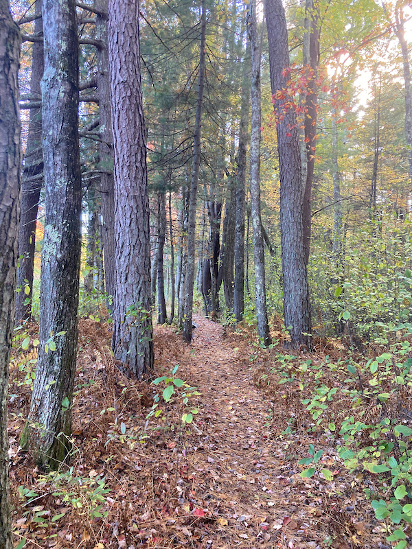 2024 SEMass NEMBA Adams Farm Fun Ride 4. North Route (6 miles) Mountain ...