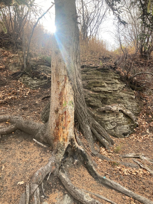 Okotoks Path Sheep River to Air Ranch Multi Trail - Okotoks, AB