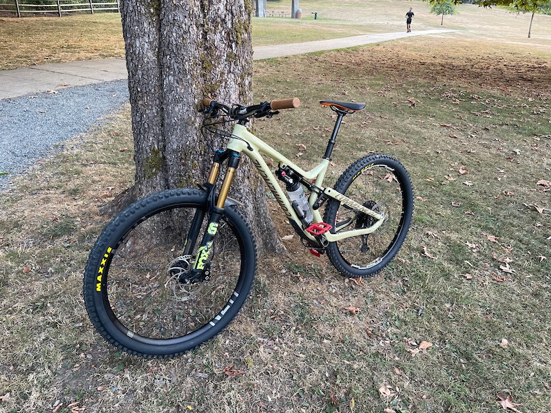 2020 Commencal Meta AM 29 Team Edition Color For Sale