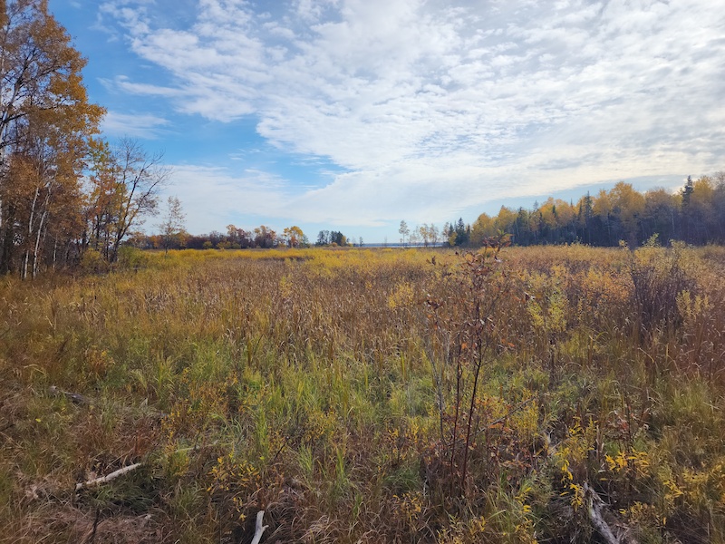 Oberholtzer Hiking Trail Hiking Trail - International Falls