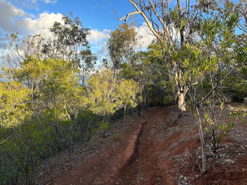 Mahana Ridge Trail Multi Trail - Kapalua, HI
