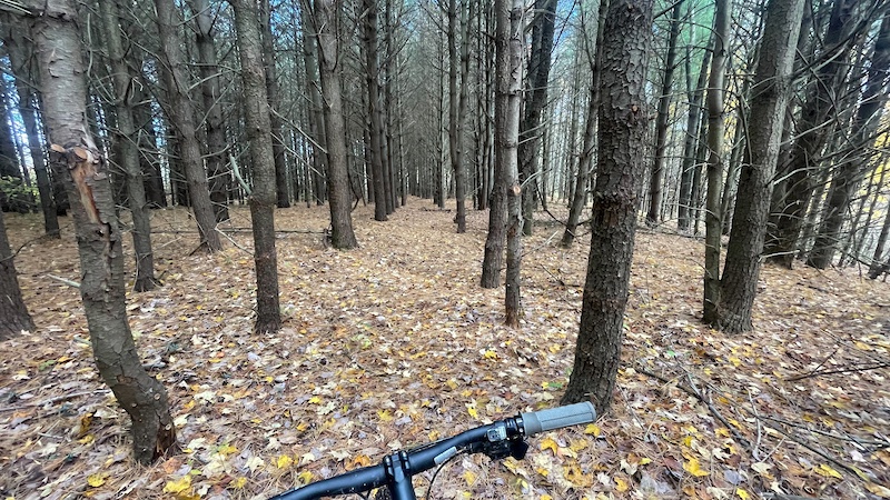 Pitch Pine Loop Mountain Biking Trail - Benson, PA