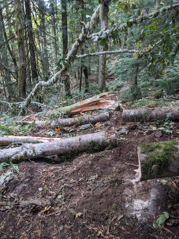 Rick Rolled Mountain Biking Trail - Bellingham, WA