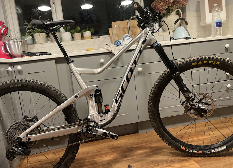 2020 Scott Ransom Large For Sale