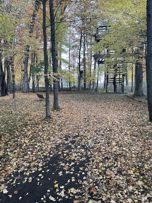 Tobico Marsh Trail Multi Trail - Bay City, Michigan