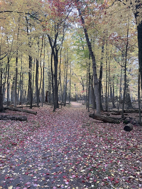 Tobico Marsh Trail Multi Trail - Bay City, Michigan
