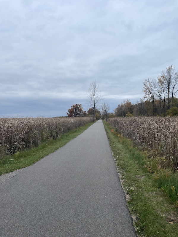 Detroit and Mackinac Railway Trail Multi Trail - Bay City, MI