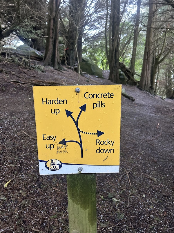 Oct 27, 2023 Nicols Creek - Switchback Track Trail Report | Trailforks