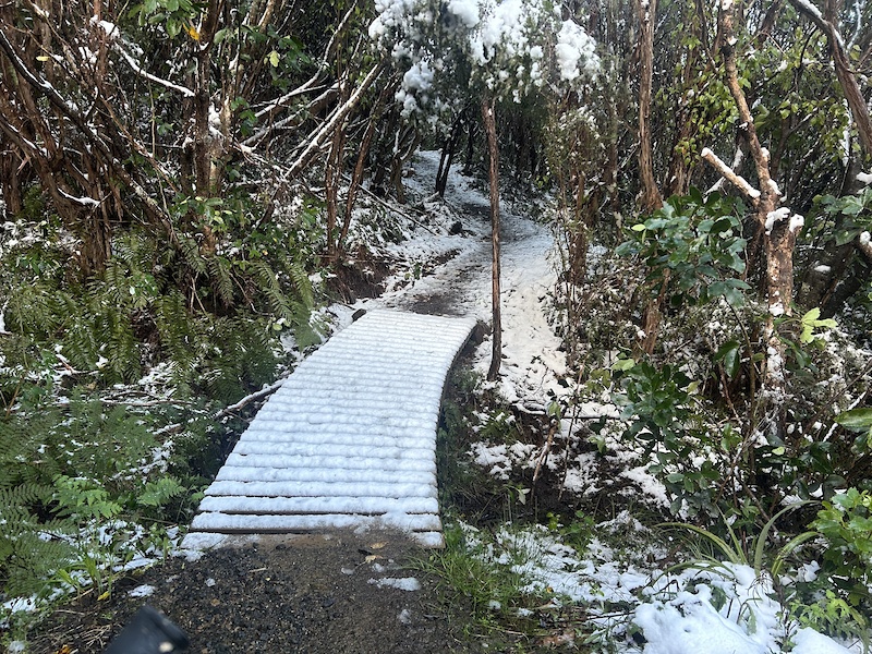 Oct 27, 2023 Nicols Creek - Switchback Track Trail Report | Trailforks