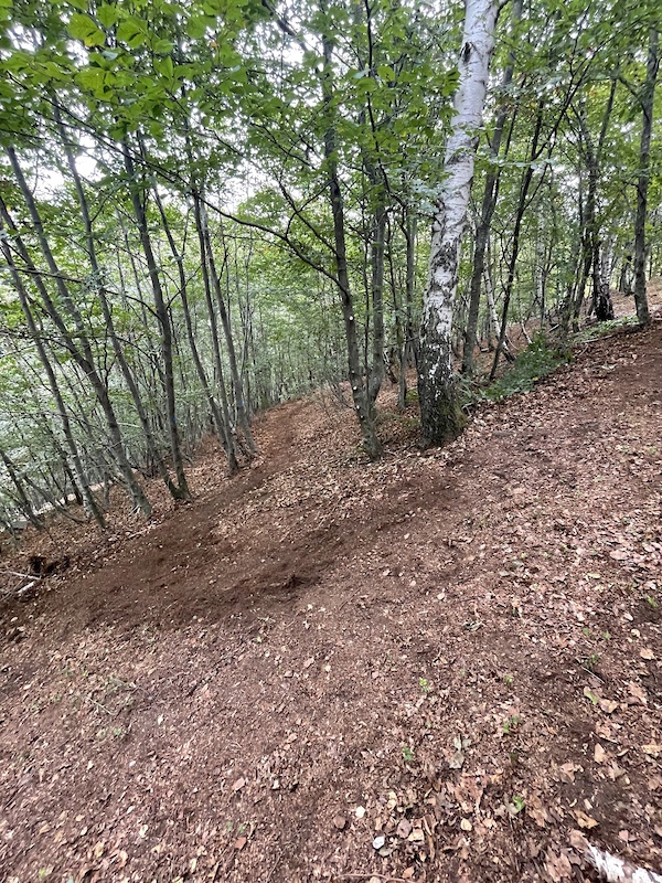 Motto delle Formiche Multi Trail - Valle Vigezzo