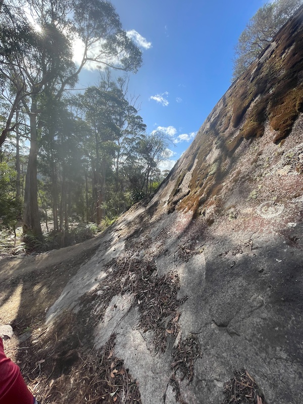 Cuddles Mountain Biking Trail - Blue Derby, Derby