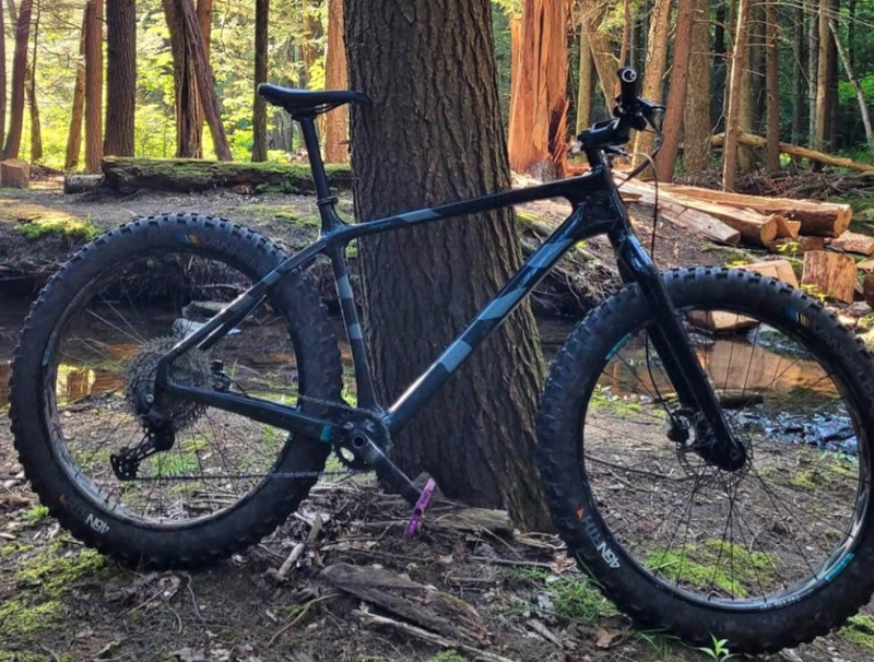 2021 Salsa Beargrease Carbon Fat Bike For Sale