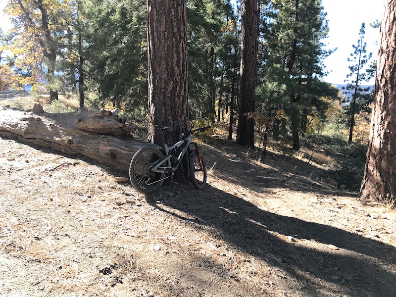 Fawnskin, California Mountain Biking Trails | Trailforks