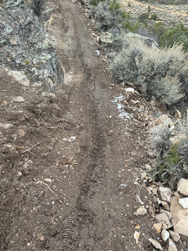 Amp Ridge Mountain Biking Trail - Montrose, Colorado