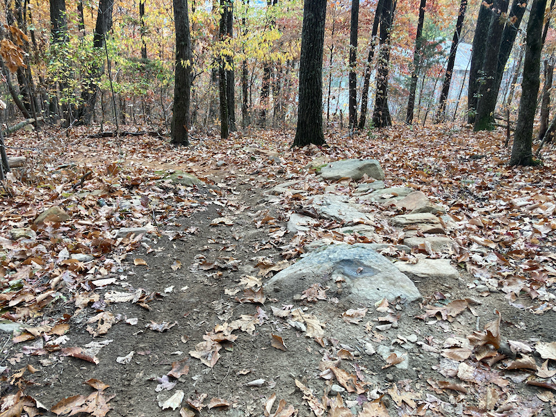 Escalator Multi Trail - Chattanooga, Tennessee